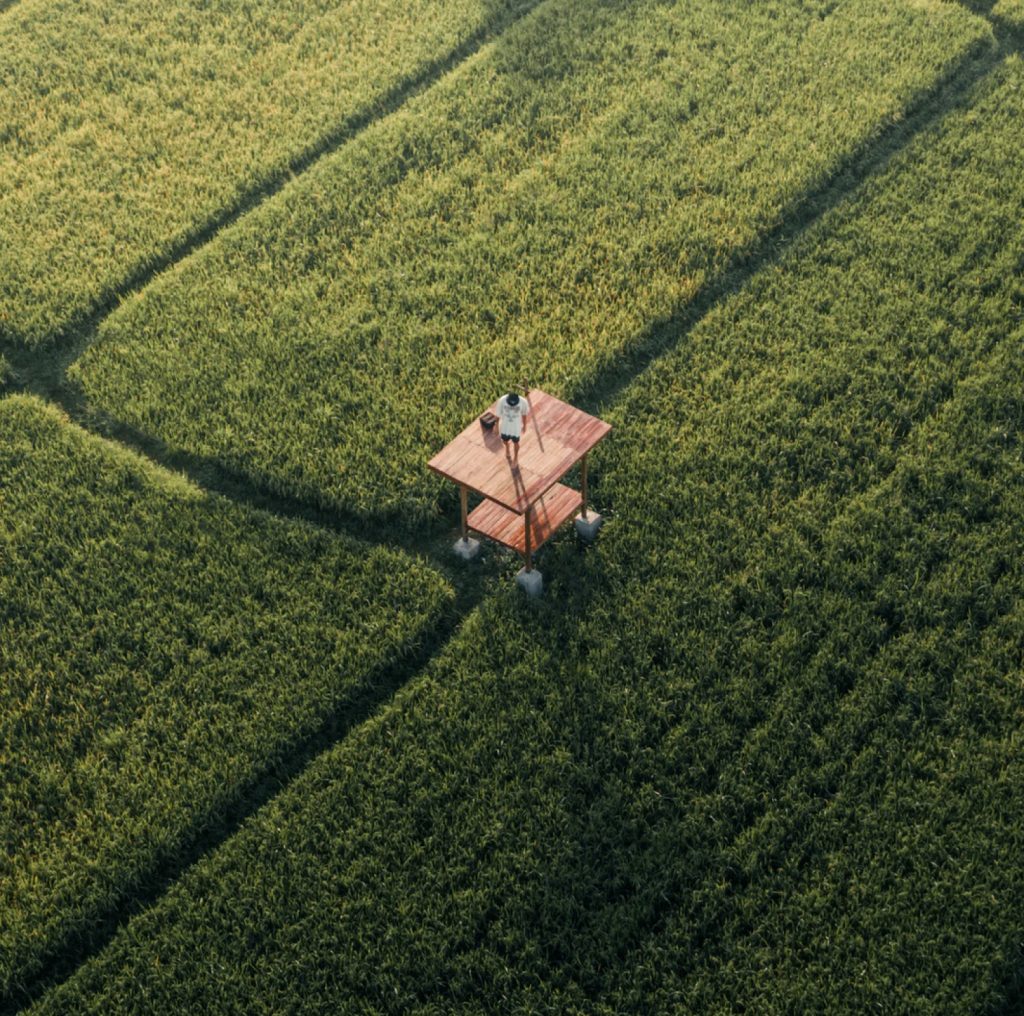 Adaptive thinking: how to adapt to a rapidly changing environment and ...